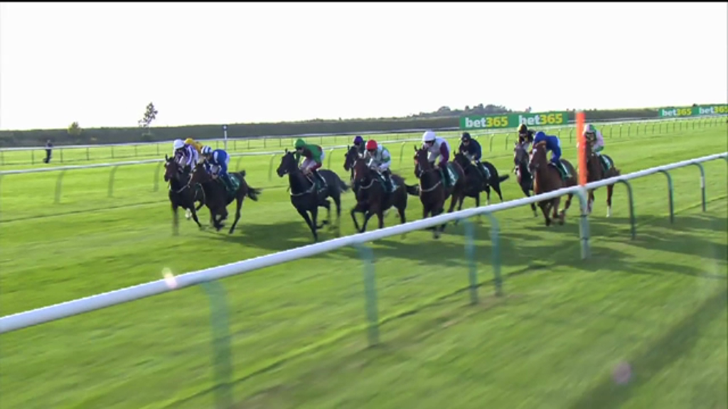 Naas preview: Fozzy Stack triple-handed in Group Three feature