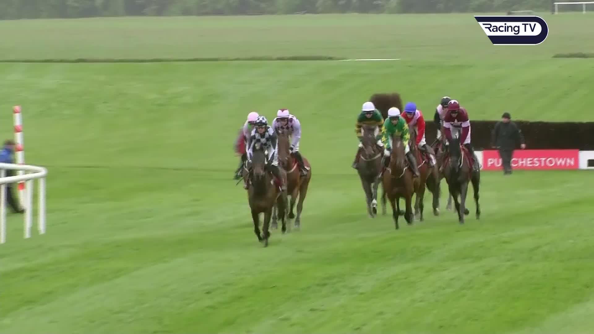 Ladbrokes Champion Chase: Runner-by-runner guide to Down Royal's showpeice