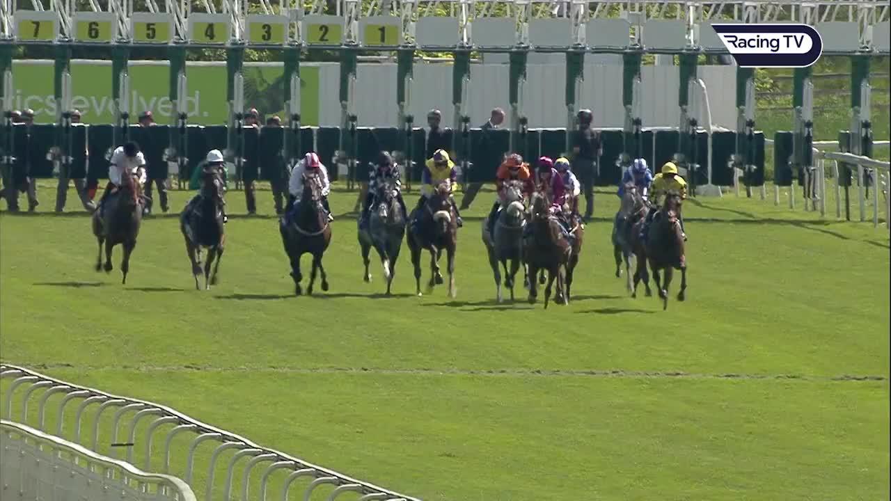 Sprint Cup the plan for Invincible Army, says James Tate