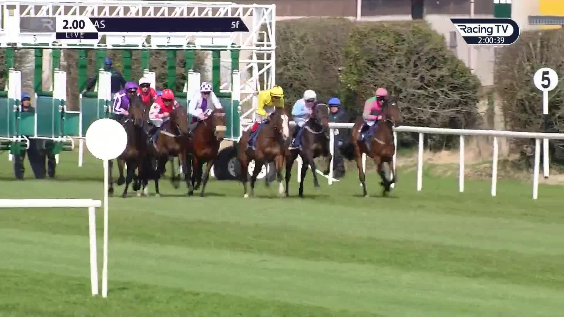 It's an Irish record! New race for two-year-olds at Naas attracts 563 ...