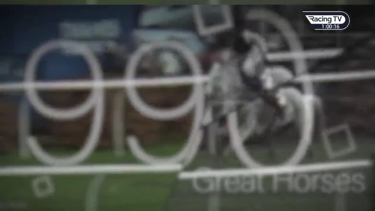 Gold Cup-winning trainer Tom Taaffe brings curtain down on career