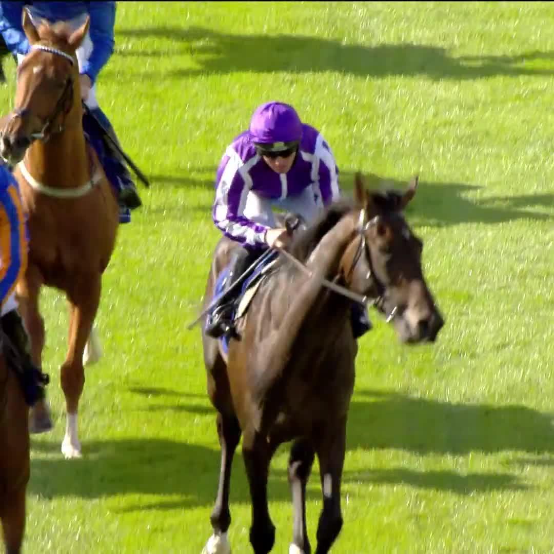 O’Brien says Derby trial more likely than Guineas for High Definition