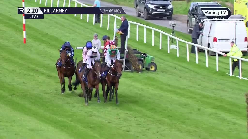 Digby (Ire) | Race Record, Statistics & Wins | Racing TV