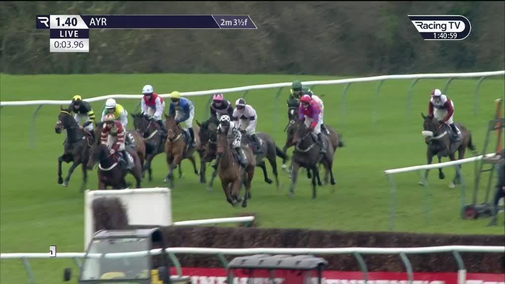 Famous Bridge (Ire) | Race Record, Statistics & Wins | Racing TV