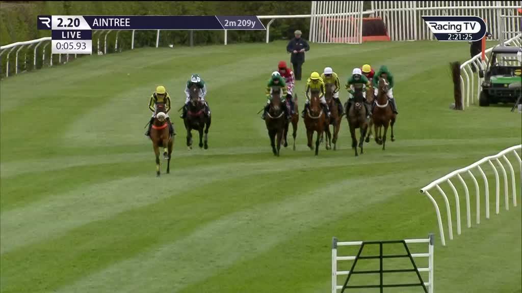 2.40 Cheltenham: Harris hunting for Knight Salute clues