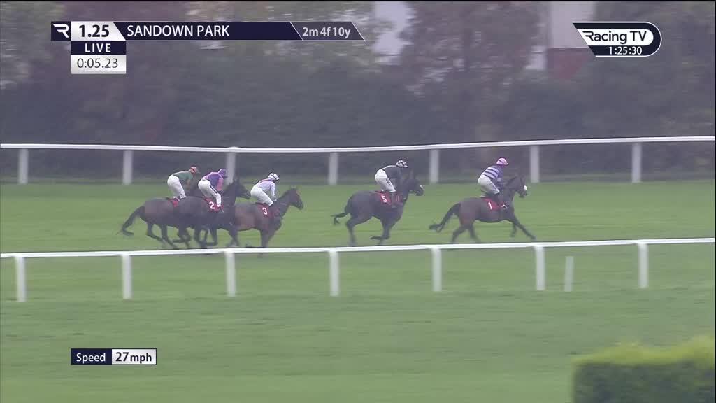 Mumbo Jumbo (Ire) | Race Record, Statistics & Wins | Racing TV