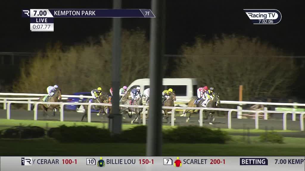 Starlight Nation (Ire) | Race Record, Statistics & Wins | Racing TV