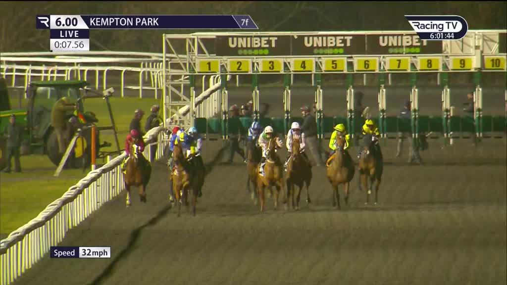 Starlight Nation (Ire) | Race Record, Statistics & Wins | Racing TV