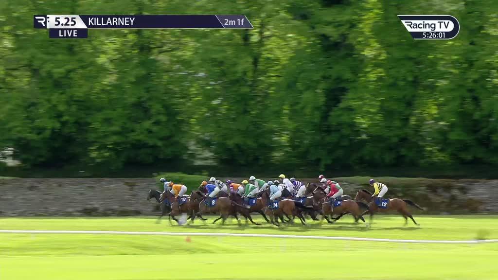 Jack G. Gilligan | Race Record, Statistics & Wins | Racing TV