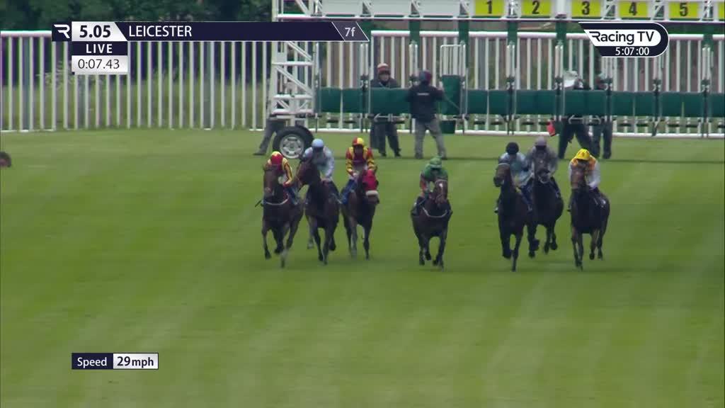 Starlight Nation (Ire) | Race Record, Statistics & Wins | Racing TV