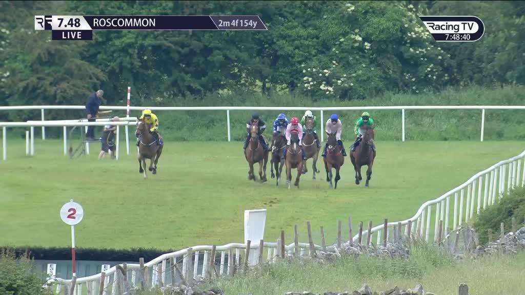 Digby (Ire) | Race Record, Statistics & Wins | Racing TV