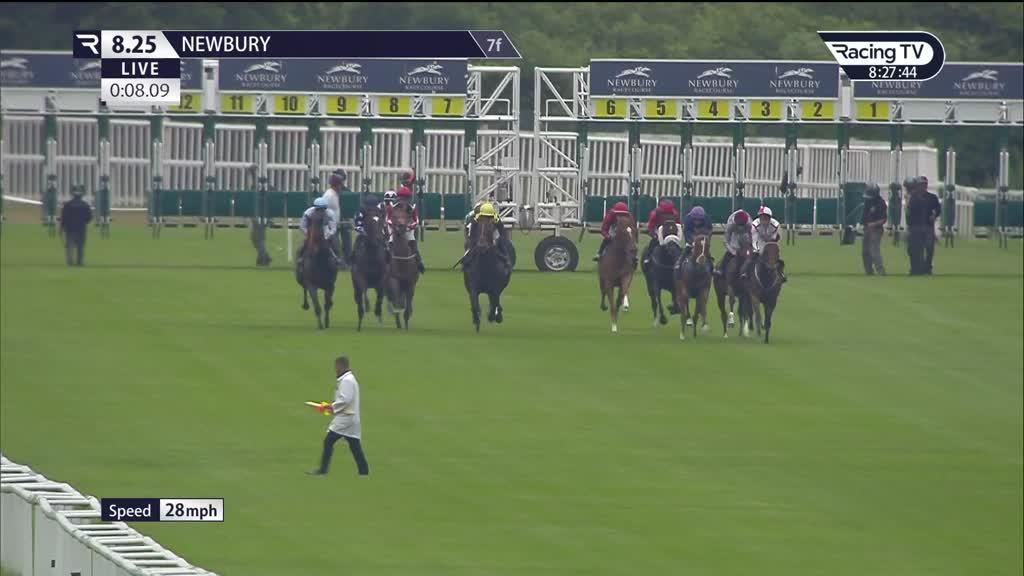 Starlight Nation (Ire) | Race Record, Statistics & Wins | Racing TV