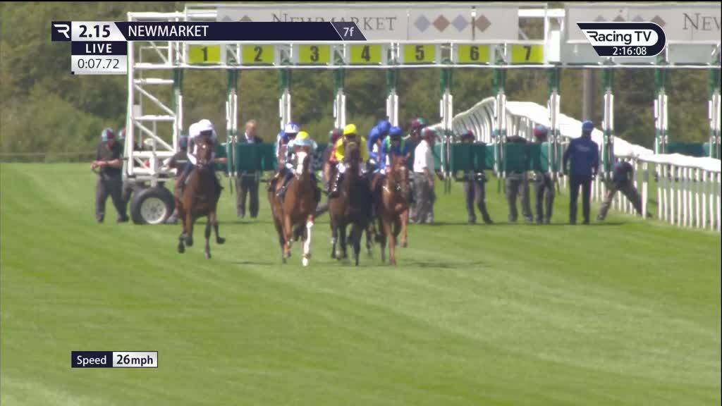 Bellum Justum (Ire) | Race Record, Statistics & Wins | Racing TV