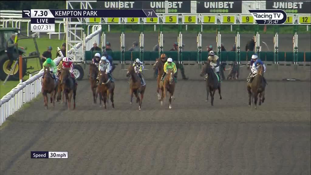 Moon Flight (Ire) | Race Record, Statistics & Wins | Racing TV