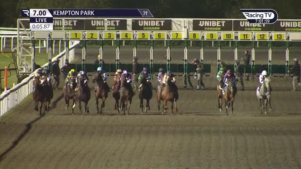 Starlight Nation (Ire) | Race Record, Statistics & Wins | Racing TV