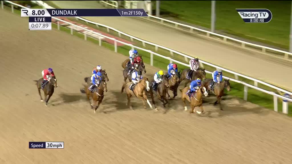 Watch Today's Horse Racing Replays | Racing TV