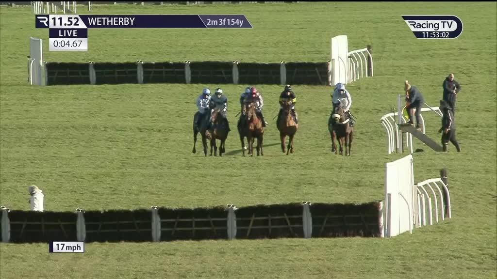 Today's Horse Racing Results | Racing TV