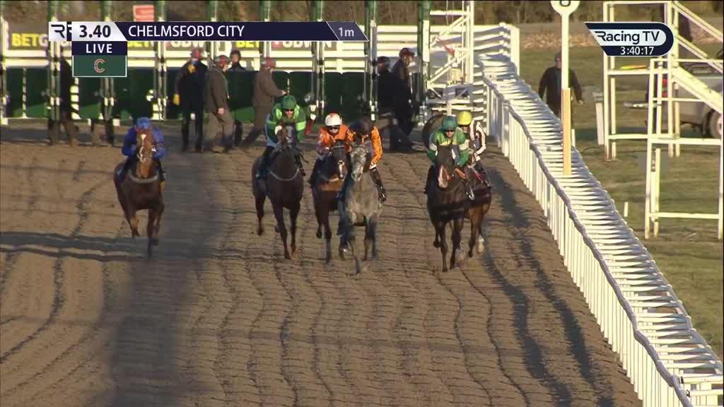 Today's Horse Racing Results | Racing TV