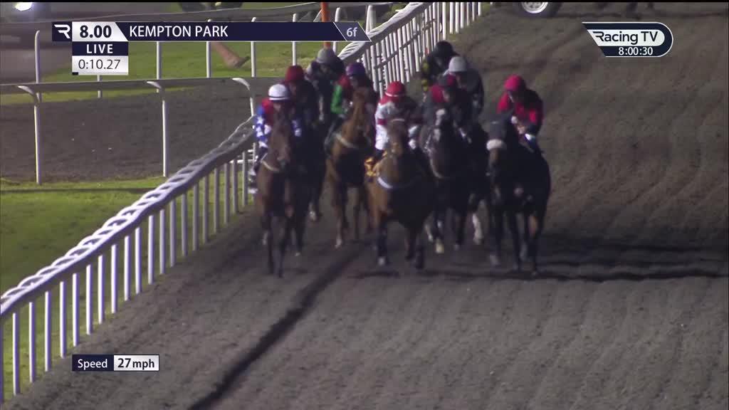 Today's Horse Racing Results | Racing TV