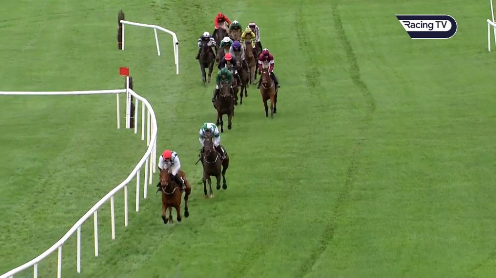 Willie Mullins outlines plans for some of his leading lights