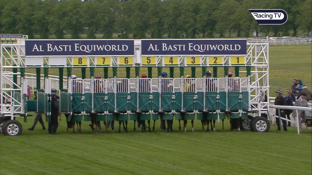 Betfred Derby: runner-by-runner guide and tip