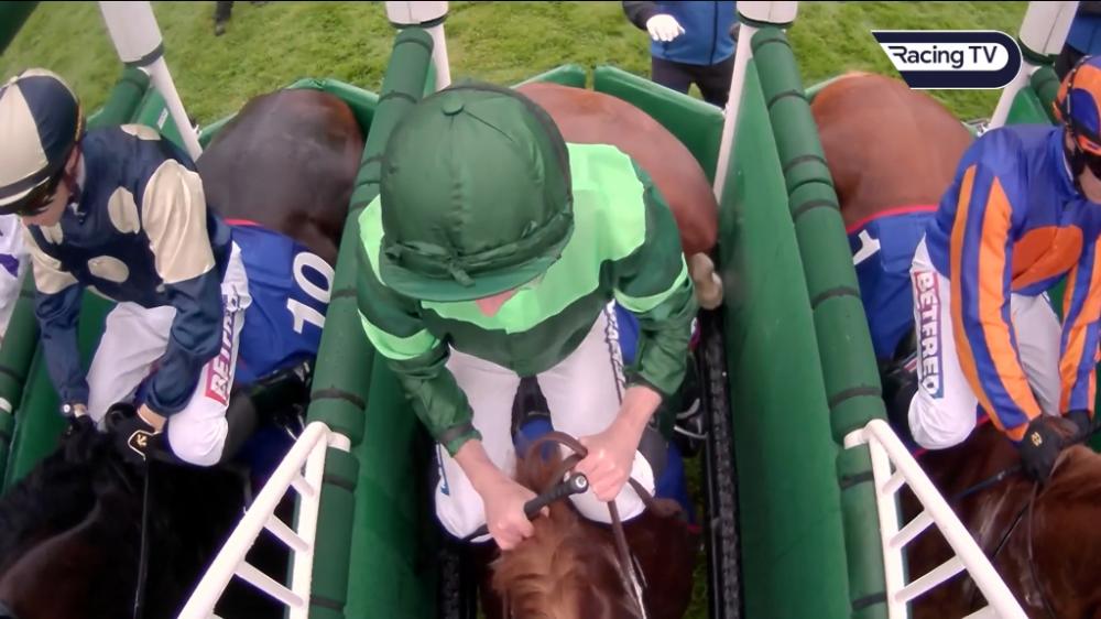Derby drama as Benvenuto Cellini is declared non-runner after race